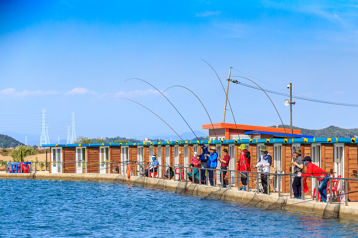 선재낚시공원 : 네이버 블로그